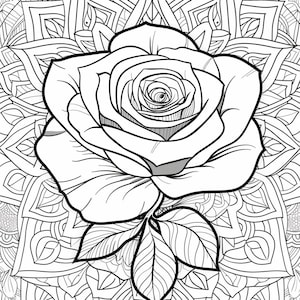Embrace the Beauty of Roses! Over 250 Rose Coloring Pages - Printable ...