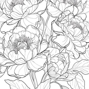 Embrace the Lush Beauty of Peonies! Over 100 Peonie Flower Coloring ...
