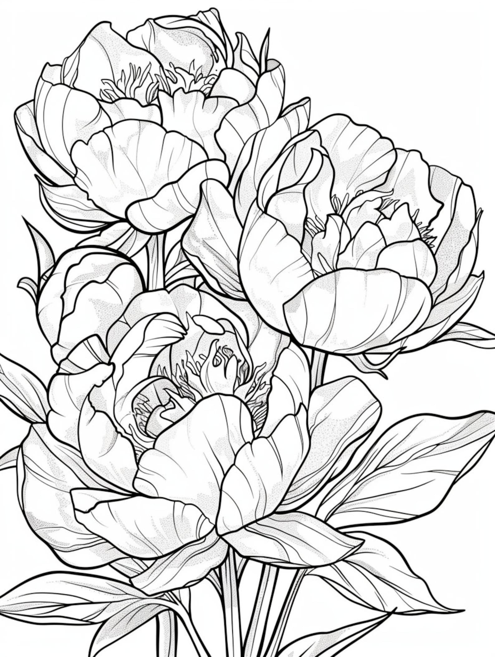 Embrace the Lush Beauty of Peonies! Over 100 Peonie Flower Coloring ...