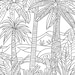 Samoan Art Coloring Pages for Kids - Over 100 Unique Pages of ...