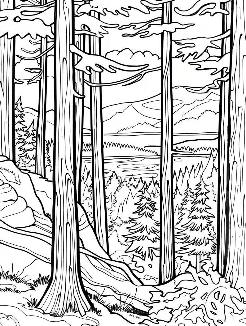 200 Pacific Northwest Coloring Pages: Printable, Digital Downloads ...