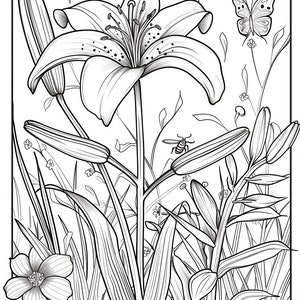 Celebrate the Elegance of Lilies! Over 200 Lily Coloring Pages ...