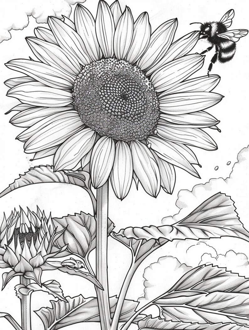 Embrace the Sunshine! Nearly 200 Sunflower Coloring Pages - Printable ...
