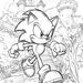 The Ultimate Sonic Coloring Adventure - 300+ Printable Digital Download ...