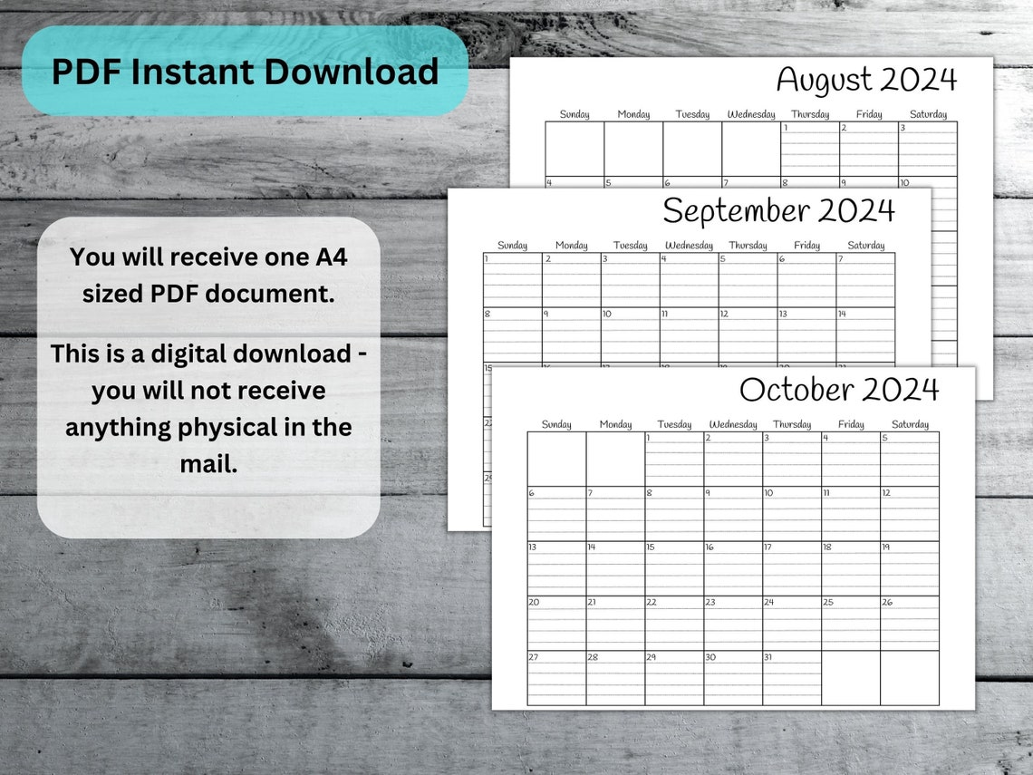 A4 Size Dated & Lined 2024 Calendar Printable Monthly Calendar for the ...