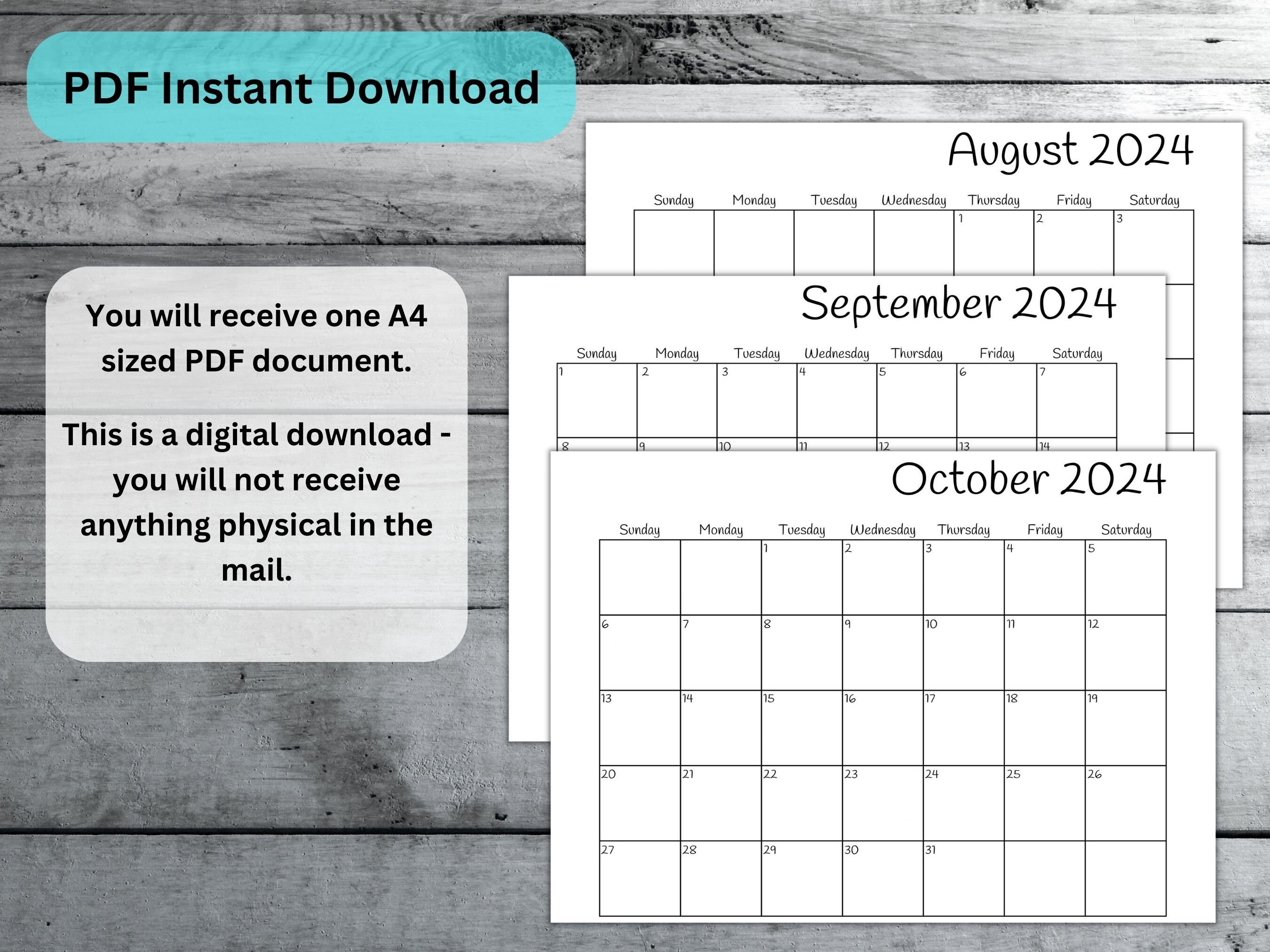 A4 Printable 2024 Calendar Dated, Full Year, Monthly Calendar, Unlined ...