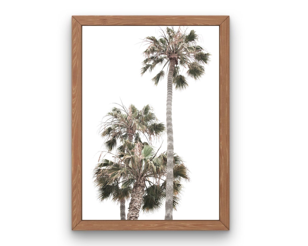 Palm Tree Print Palm Tree Digital Download Palm Photography Art Print ...
