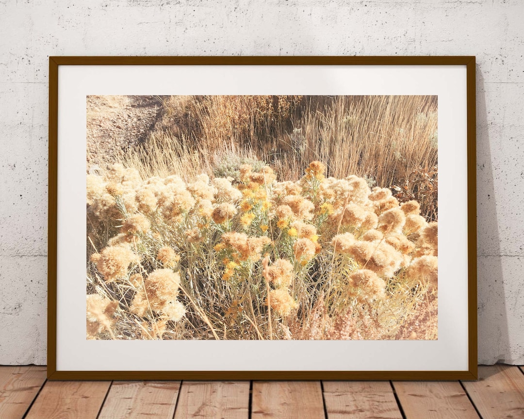 Grass Print Golden Grass Photography Digital Art Golden Grass Field Art ...