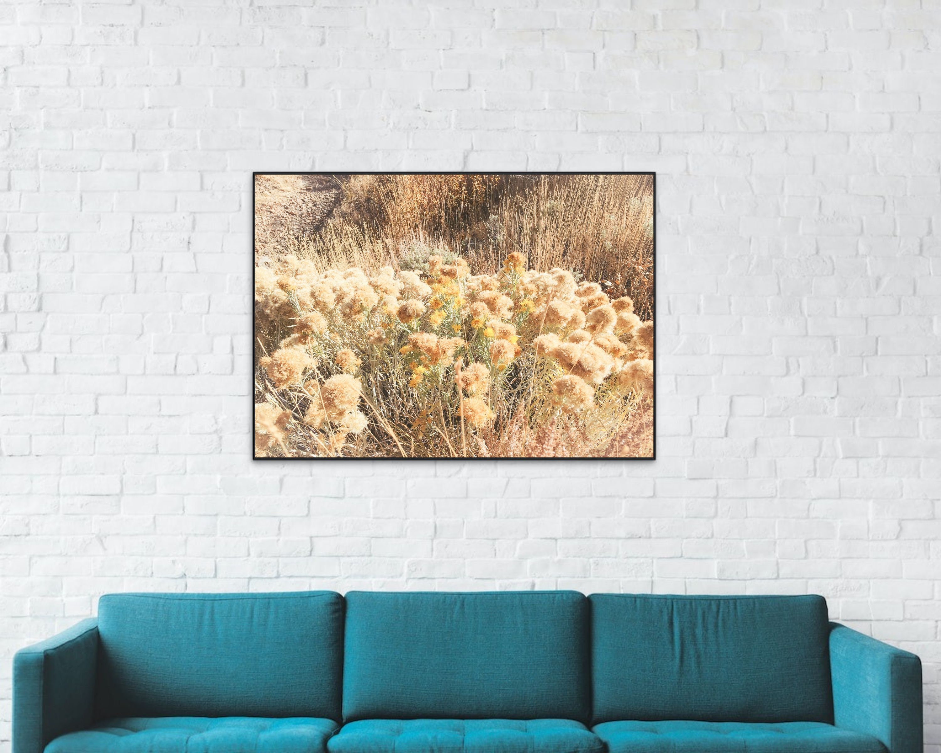 Grass Print Golden Grass Photography Digital Art Golden Grass - Etsy