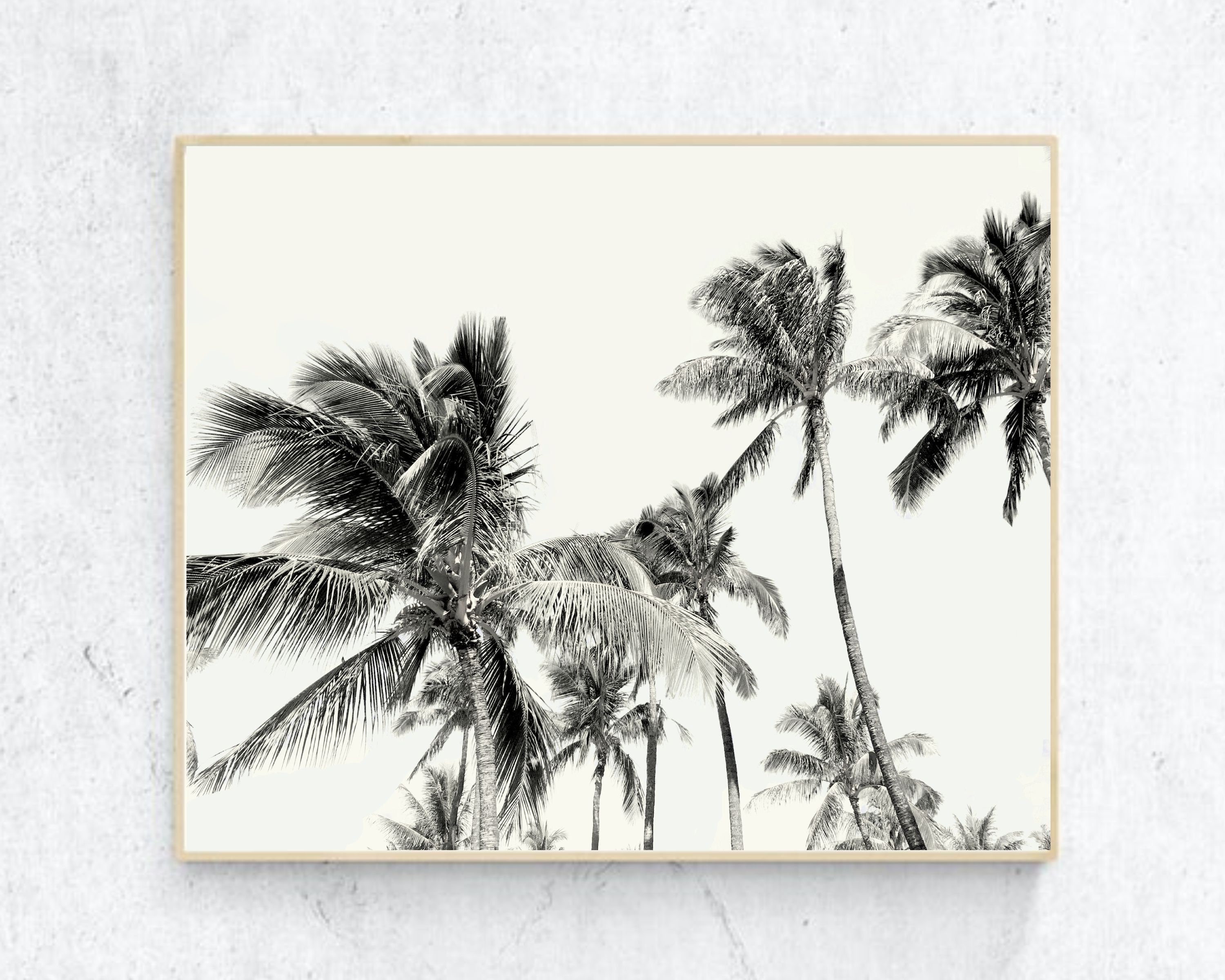 Palm Tree Print Black and White Palm Print Blackwhite Palm - Etsy