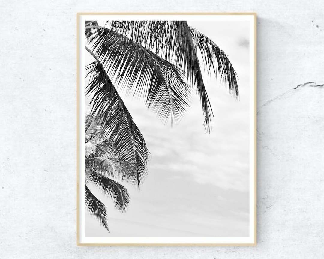 Black and White Palm Print Black White Palm Tree Digital - Etsy