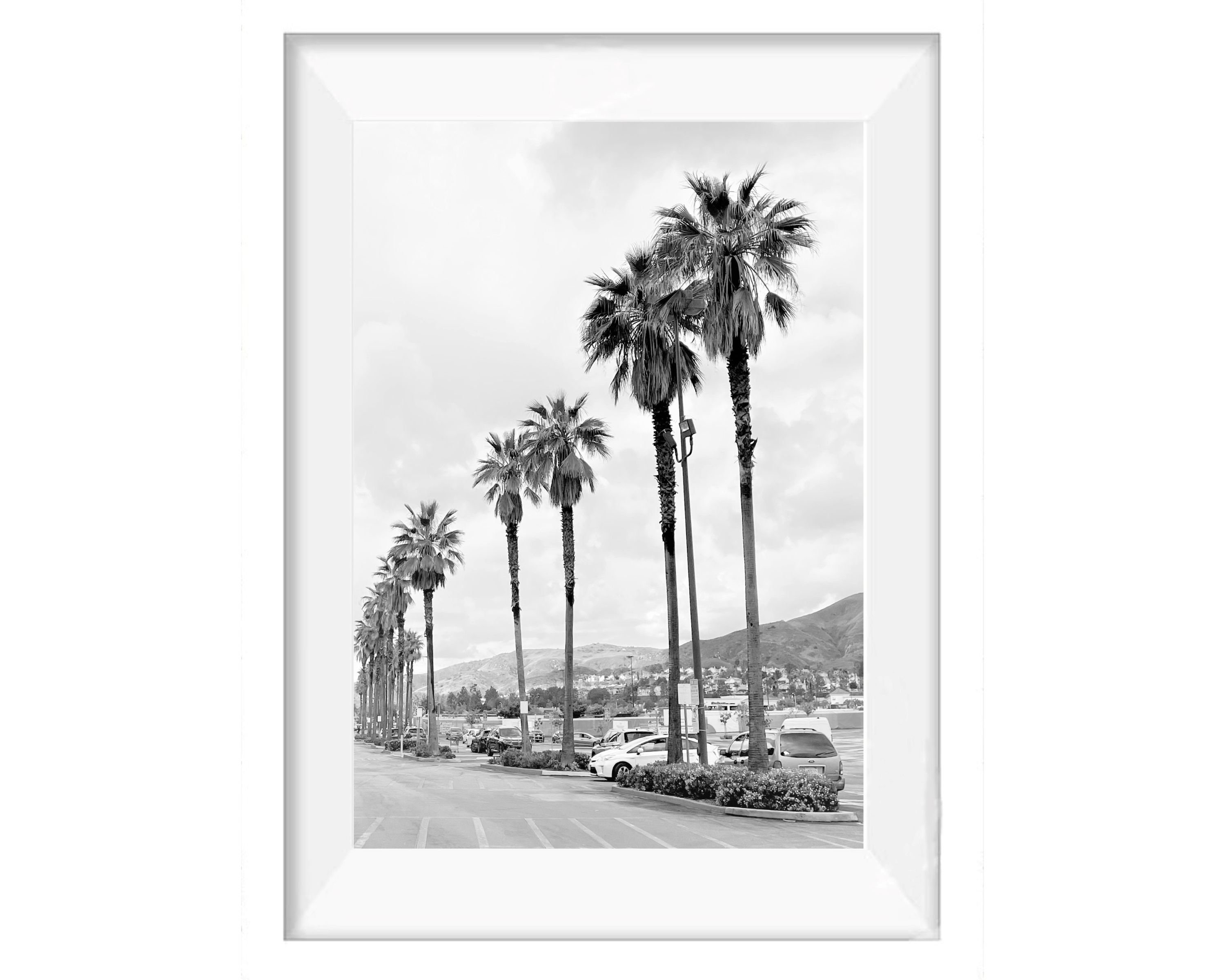 Black And White Palm Tree Print Black White Palm Photography Etsy