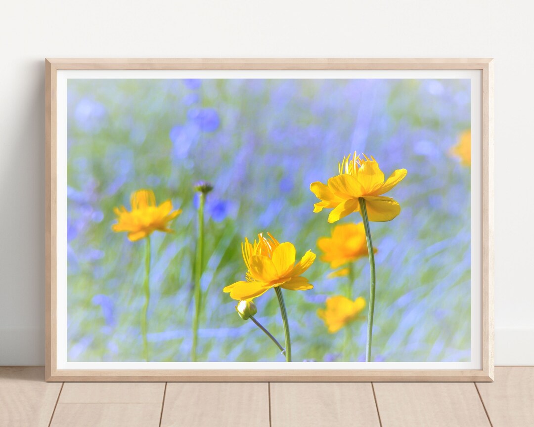 Flowers Art Print Yellow Flowers Photography Digital Print Floral Art ...