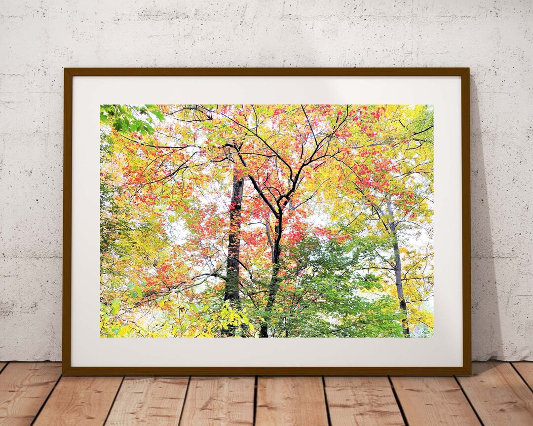 Autumn Foliage Print Fall Foliage Photography Digital Download Colorful ...