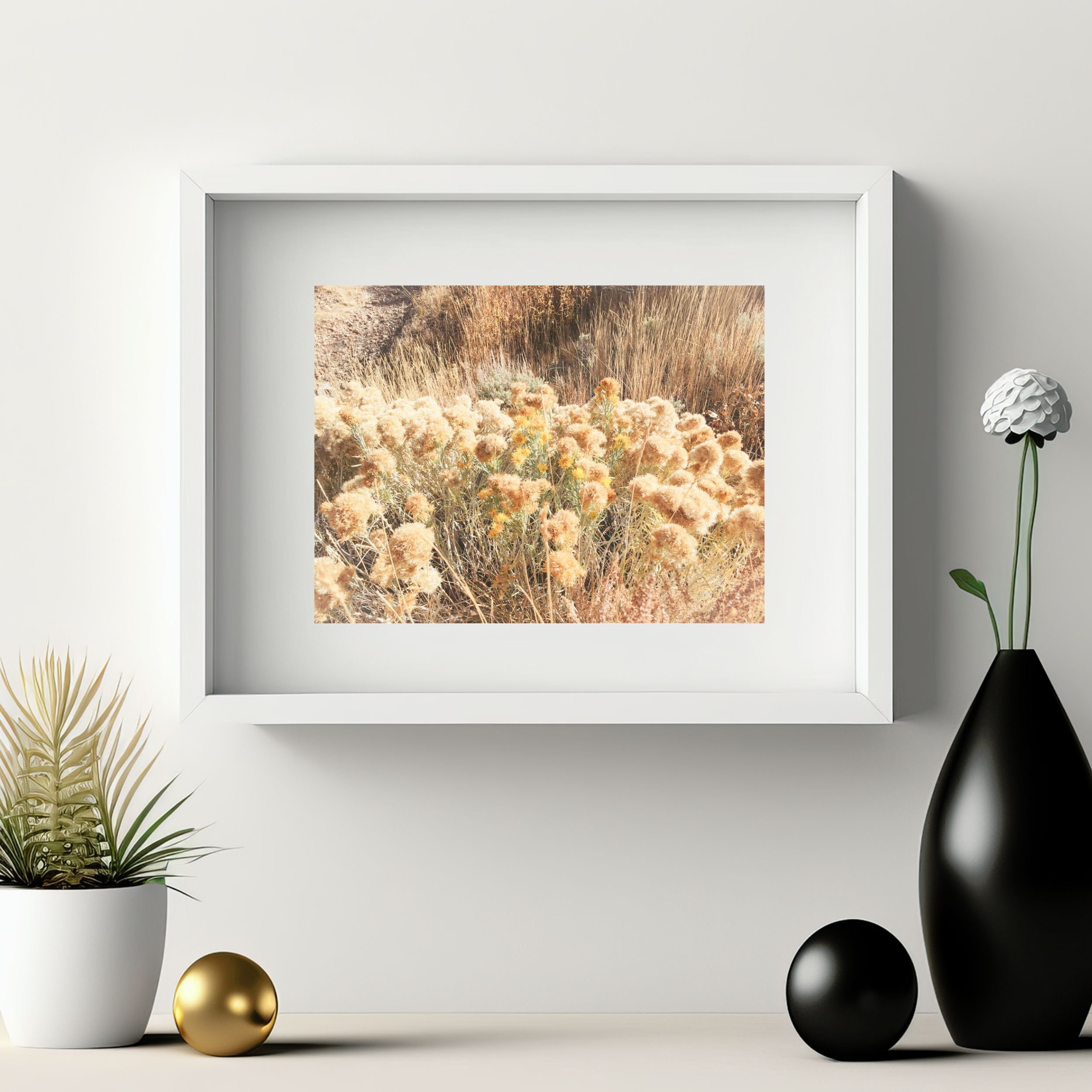 Grass Print Golden Grass Photography Digital Art Golden Grass - Etsy