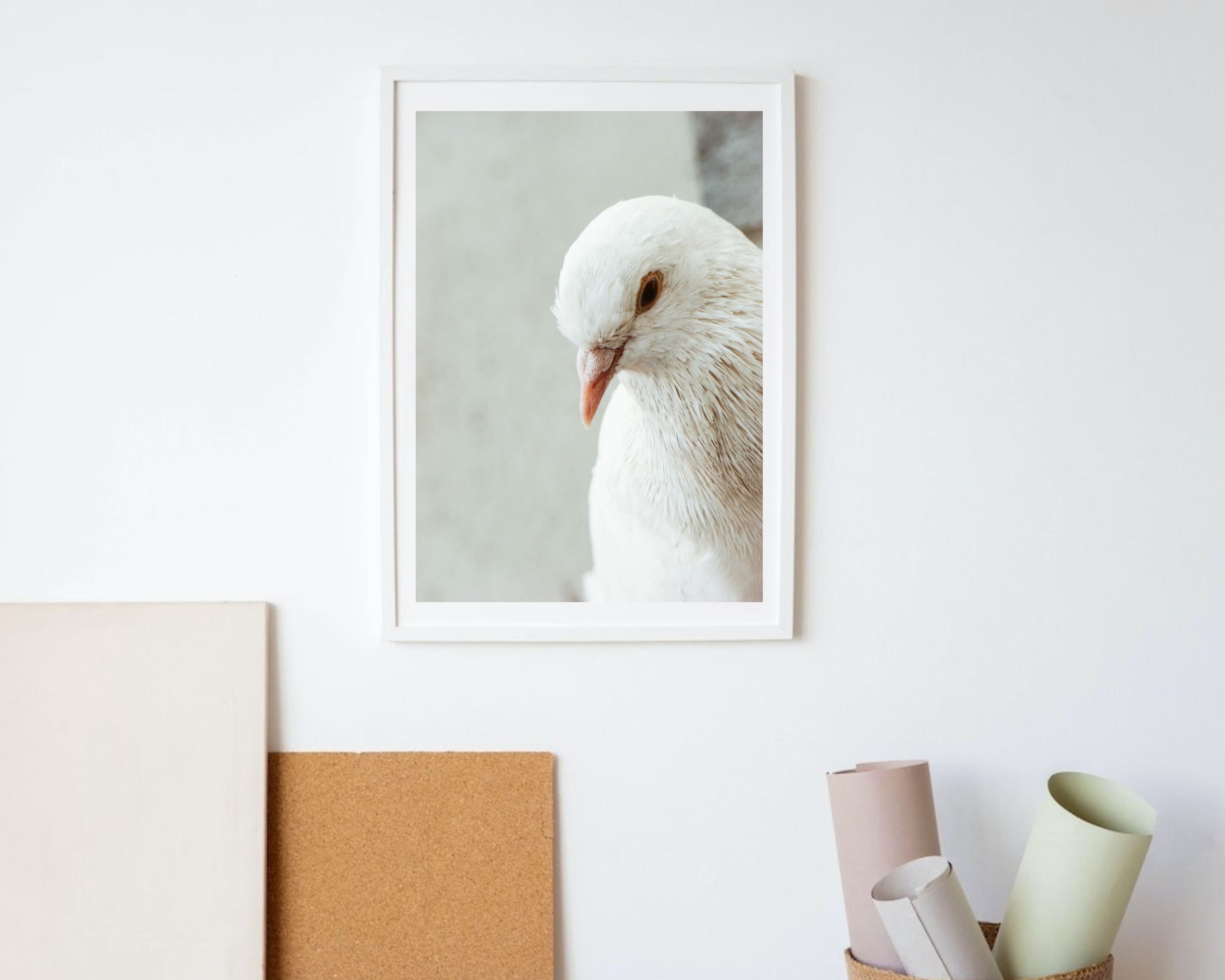 Dove Print Dove Portrait Art Print White Bird Photography White Dove ...