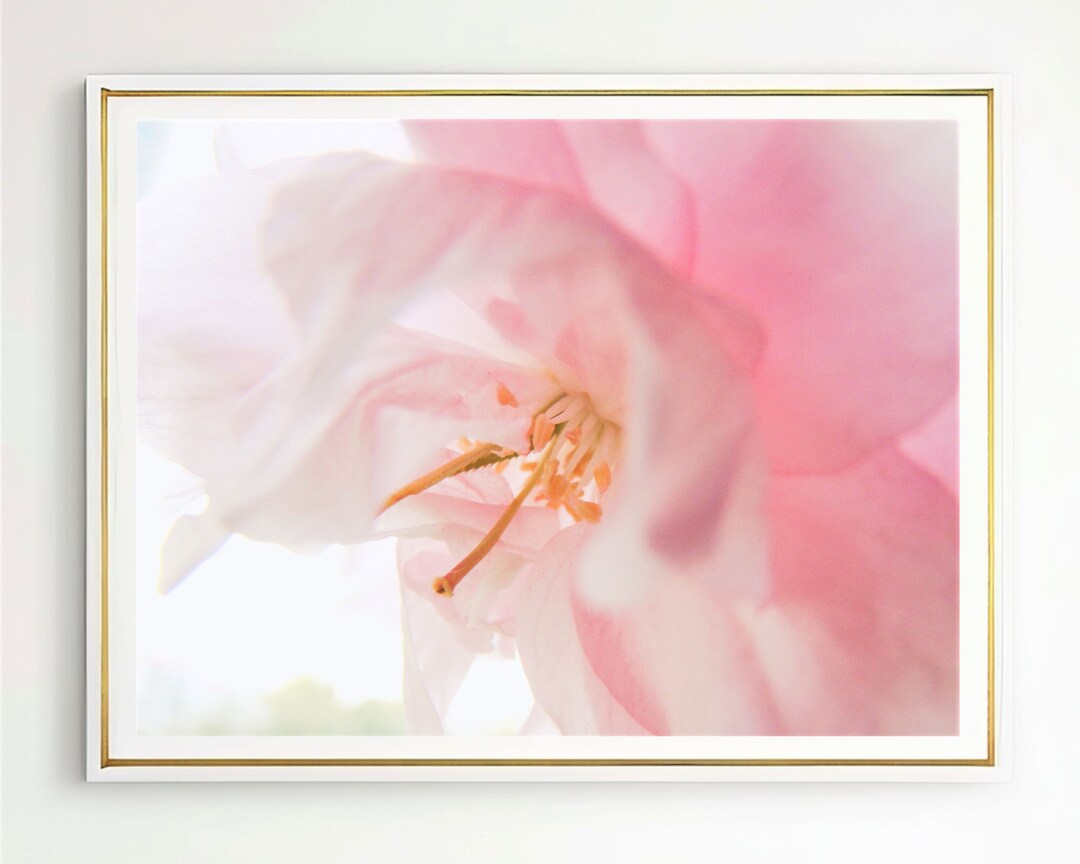 Pink Flower Photography Art Print Light Pink Flower Digital Print ...