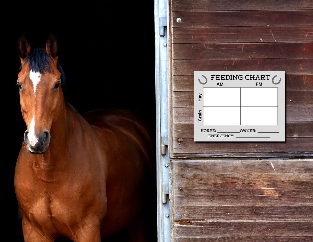 Horse Feeding Chart - Digital Download - Etsy