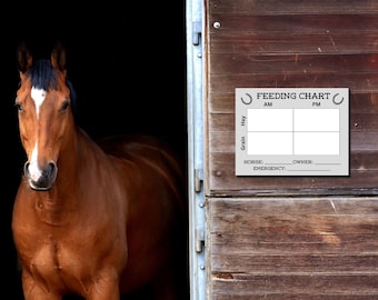 Printable Horse Stall Cards With Feed Schedule, Horse Show or Barn ...