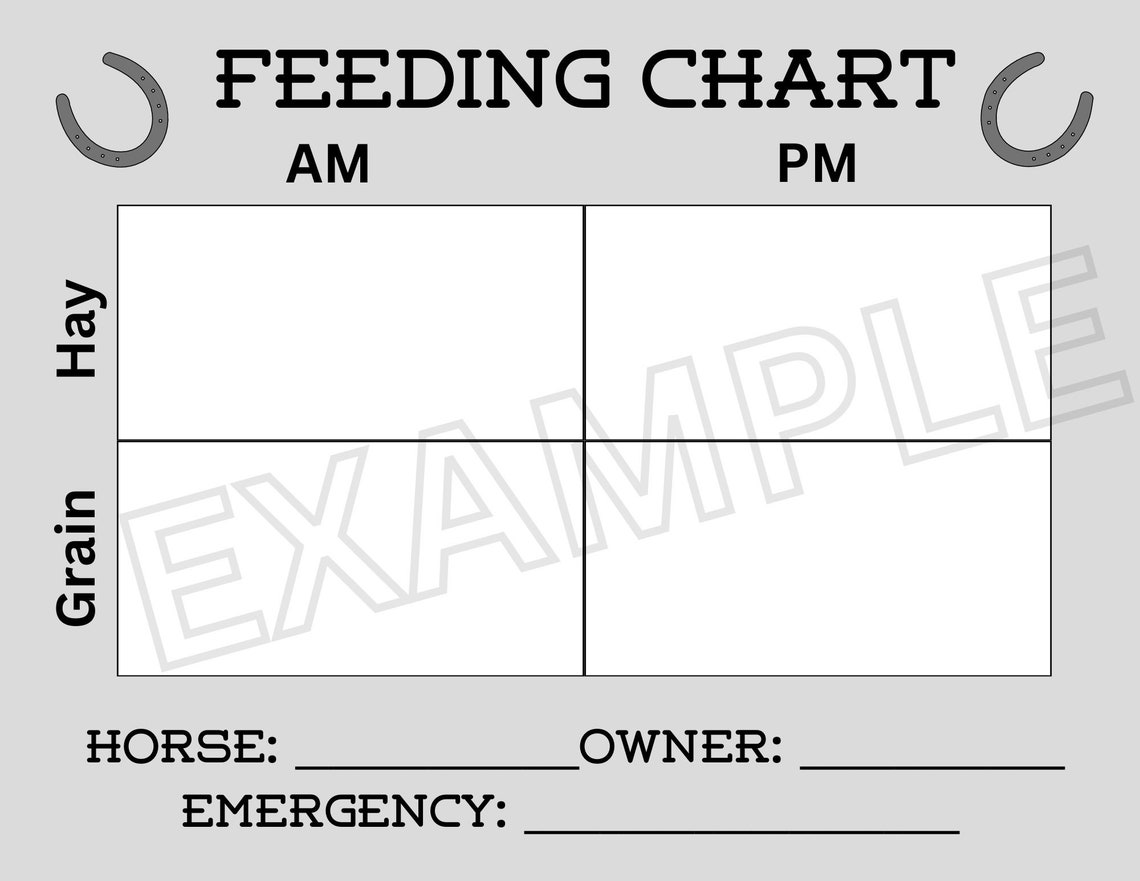 Horse Feeding Chart - Digital Download - Etsy