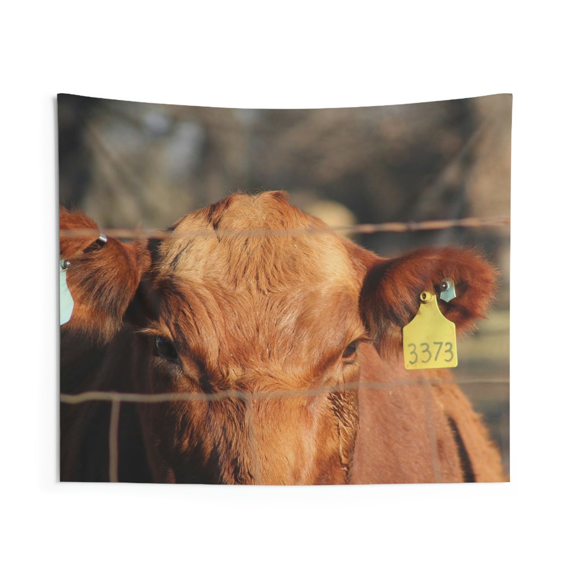 Red Angus Wall Tapestry - Etsy