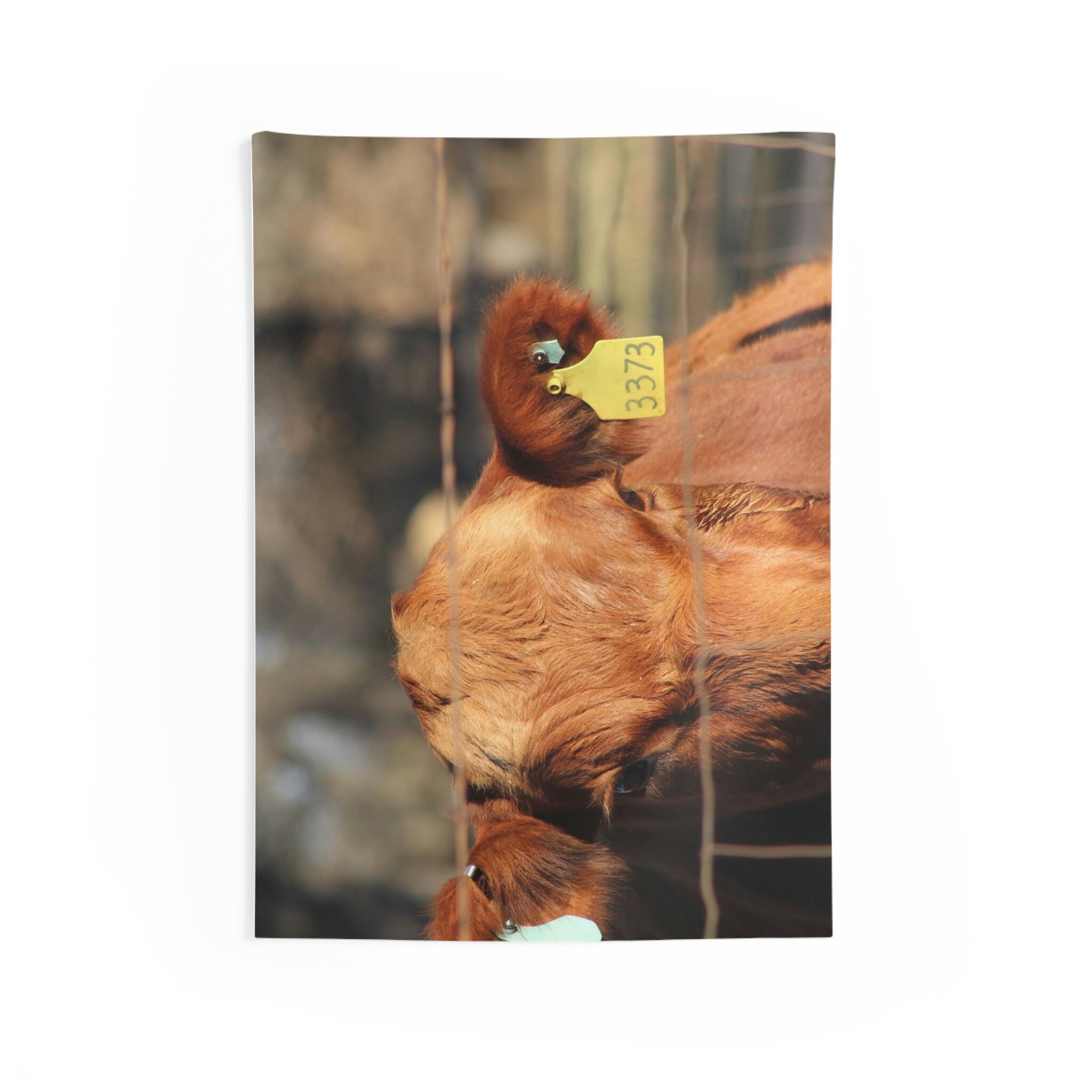 Red Angus Wall Tapestry - Etsy
