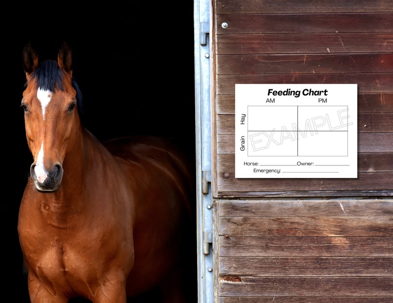 Horse Feeding Chart - Plain - Digital Download - Etsy