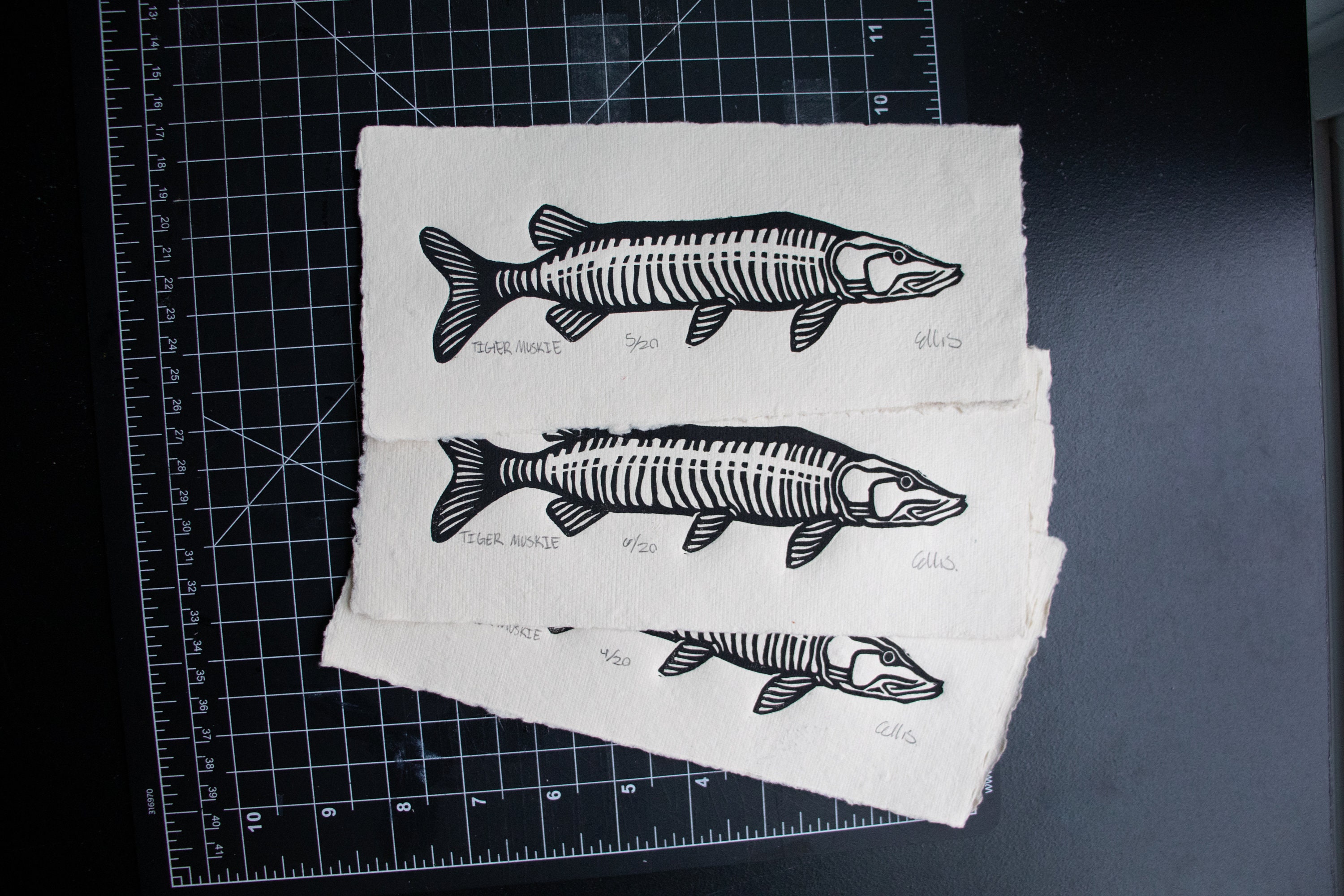Tiger Muskie Fish Linocut Art Print - Etsy