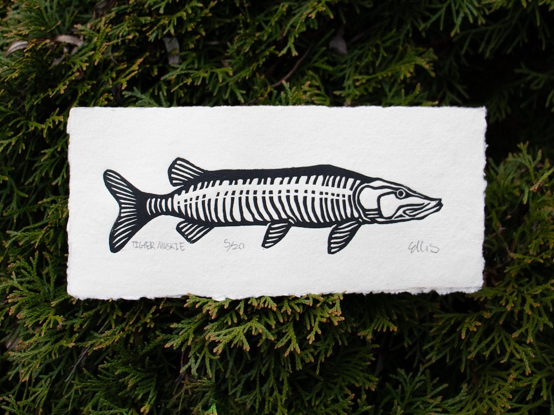 Tiger Muskie Fish Linocut Art Print - Etsy