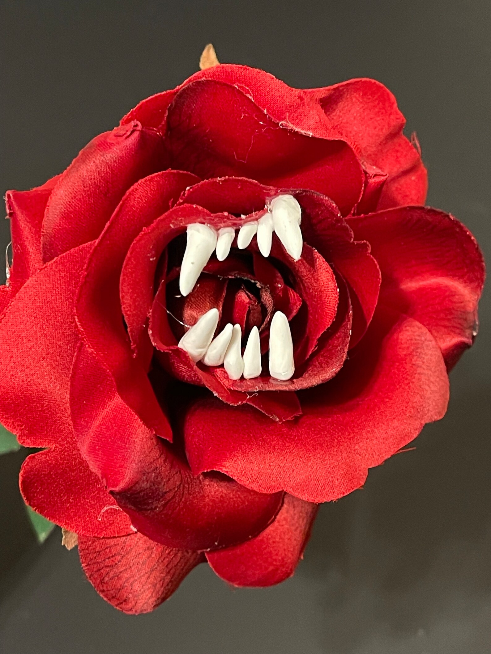Monsterous Flower With Polymer Clay Teeth, Perfect for Valentines Day ...
