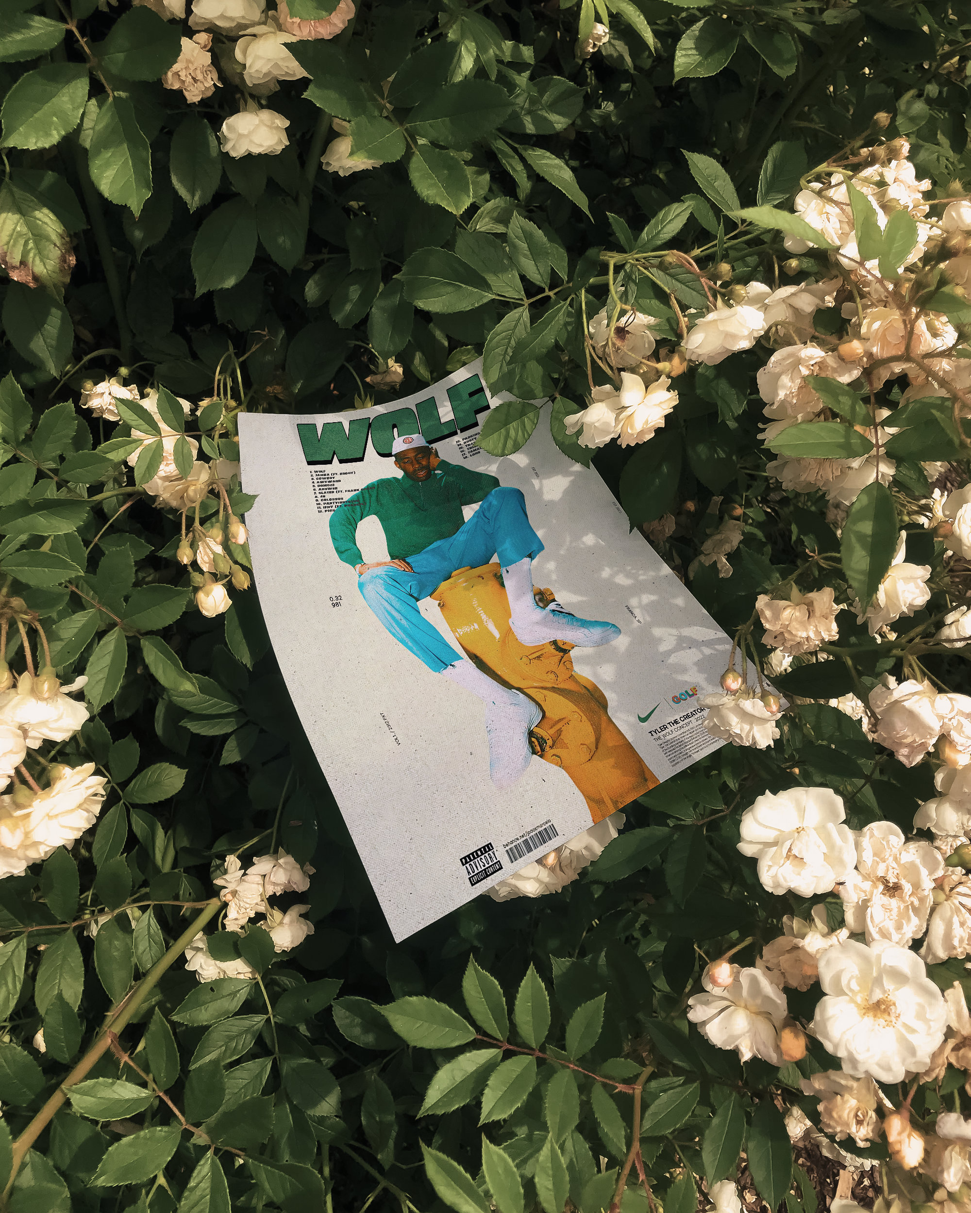 Tyler the Creator poster "Wolf" Tyler the Creator Poster sold by Janusz ...