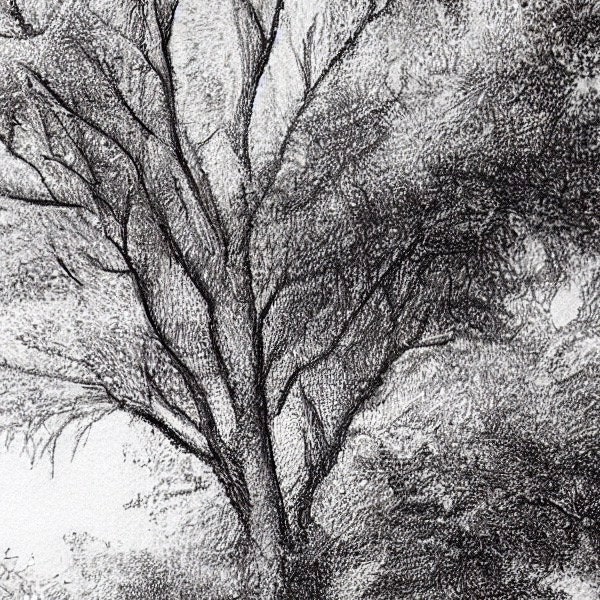 Spring Home Decor Tree Sketch Pencil Sketch Tree Art Instant Download ...