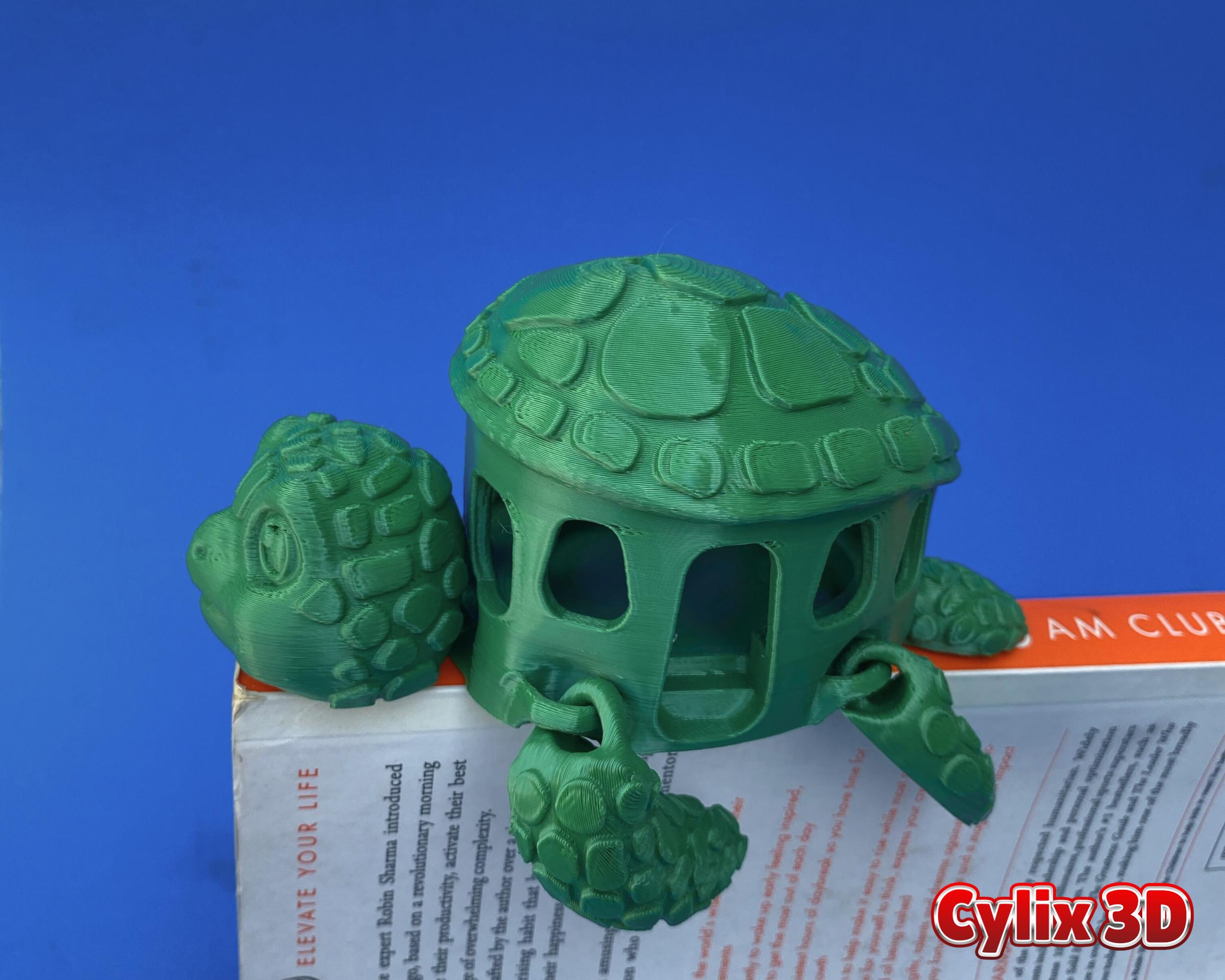 Turtle Bus 3D Print, STL File for 3D Printing, Articulated Flexi STL ...
