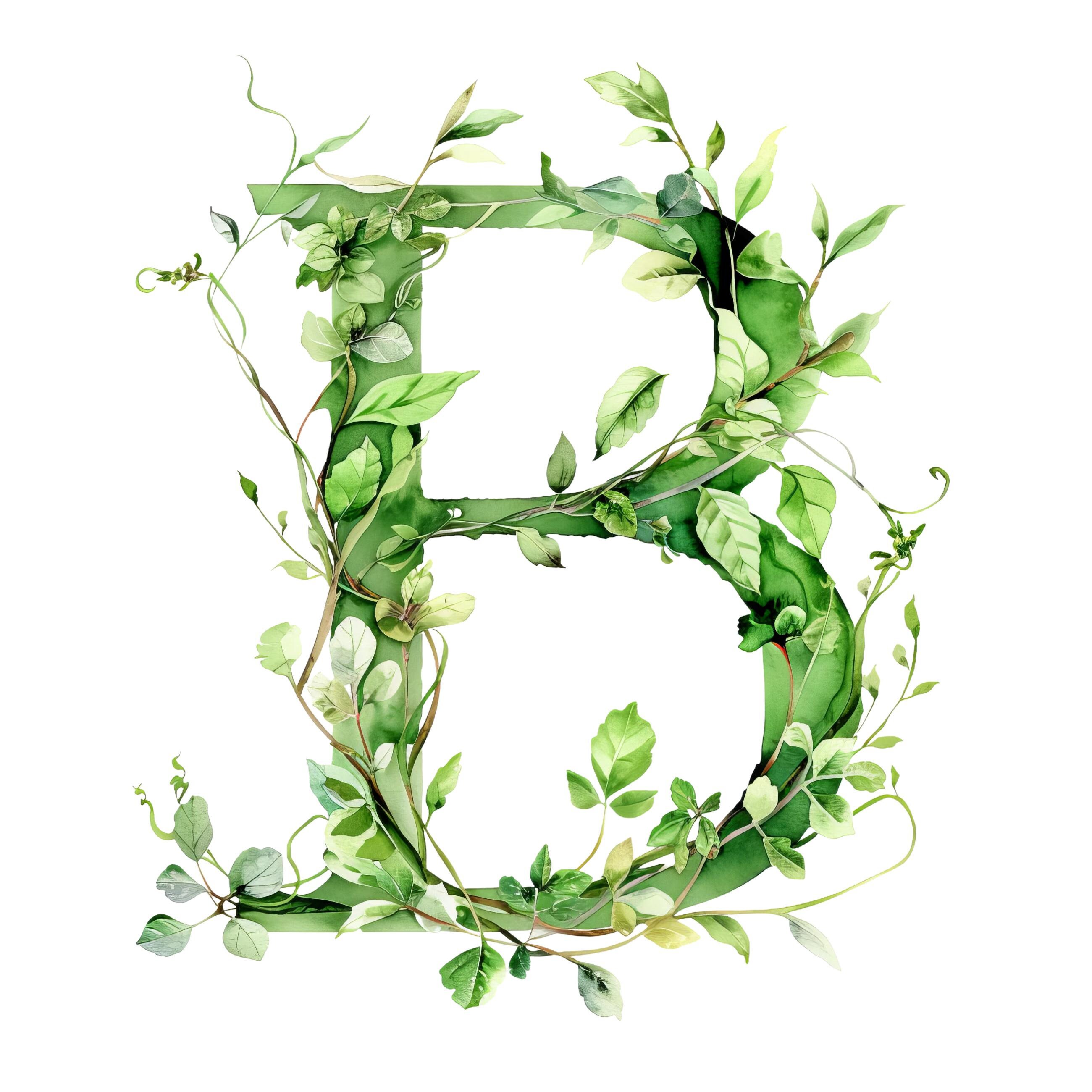 Watercolor Greenery Letter Alphabet Cliparts Pngs Set 26 High ...