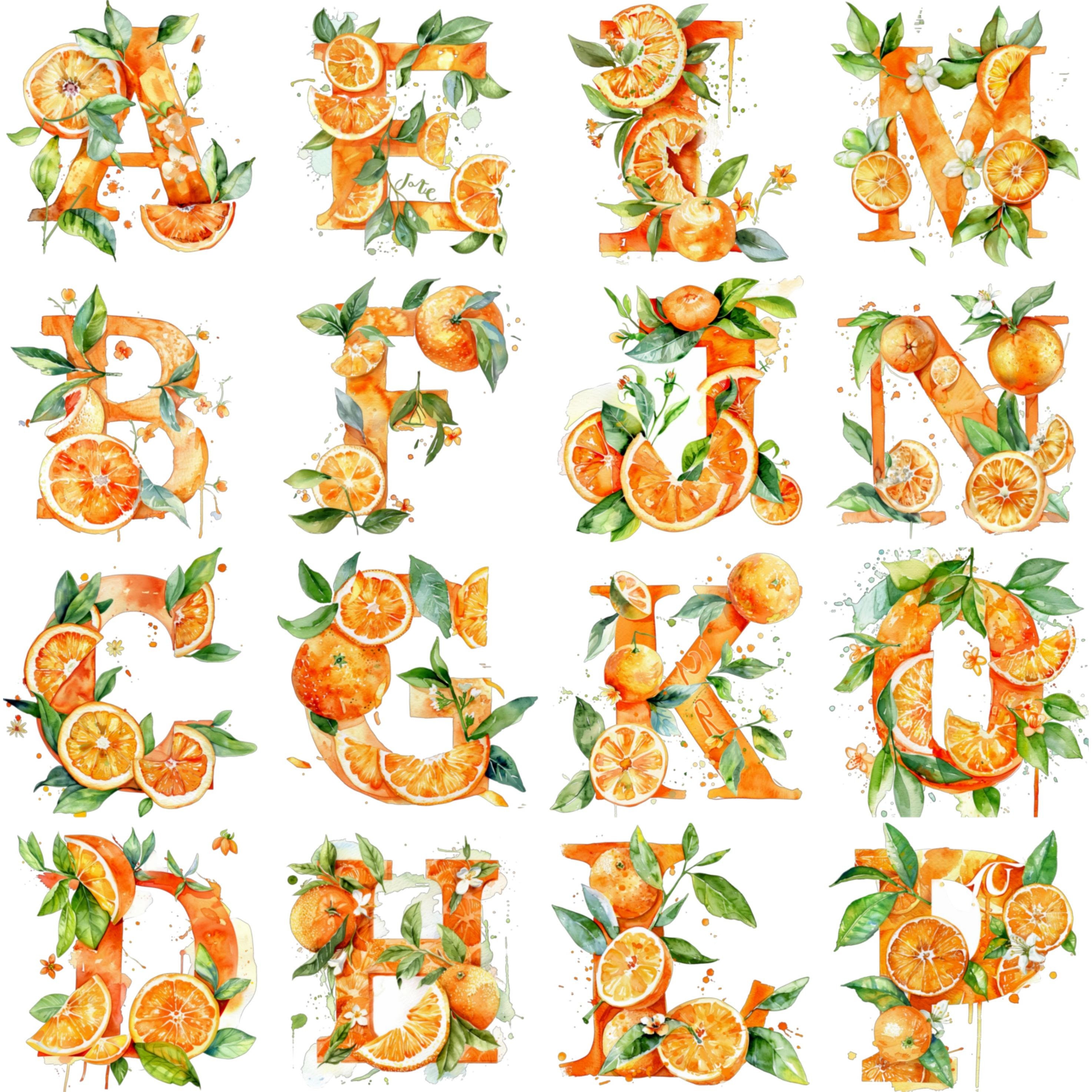 Premium Watercolor Orange Fruit Letter Alphabet Cliparts Pngs Bundle 26 ...