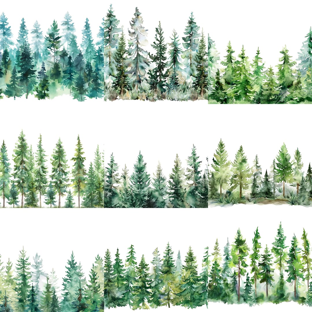 Watercolor Pine Trees Border Clipart: Whimsical Forest Pngs (digital ...
