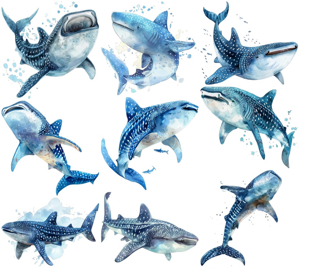 Watercolor Whale Shark Clipart Set: Ocean Marine Life Illustrations ...