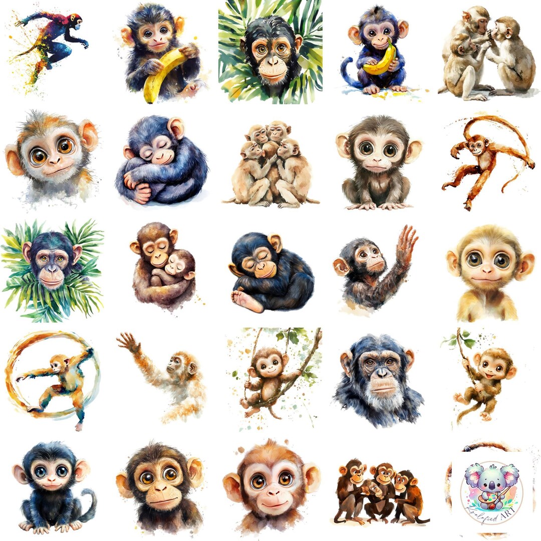Monkey Clipart Set: 47 Jungle Animal Illustrations (PNG, 300 DPI) - Etsy