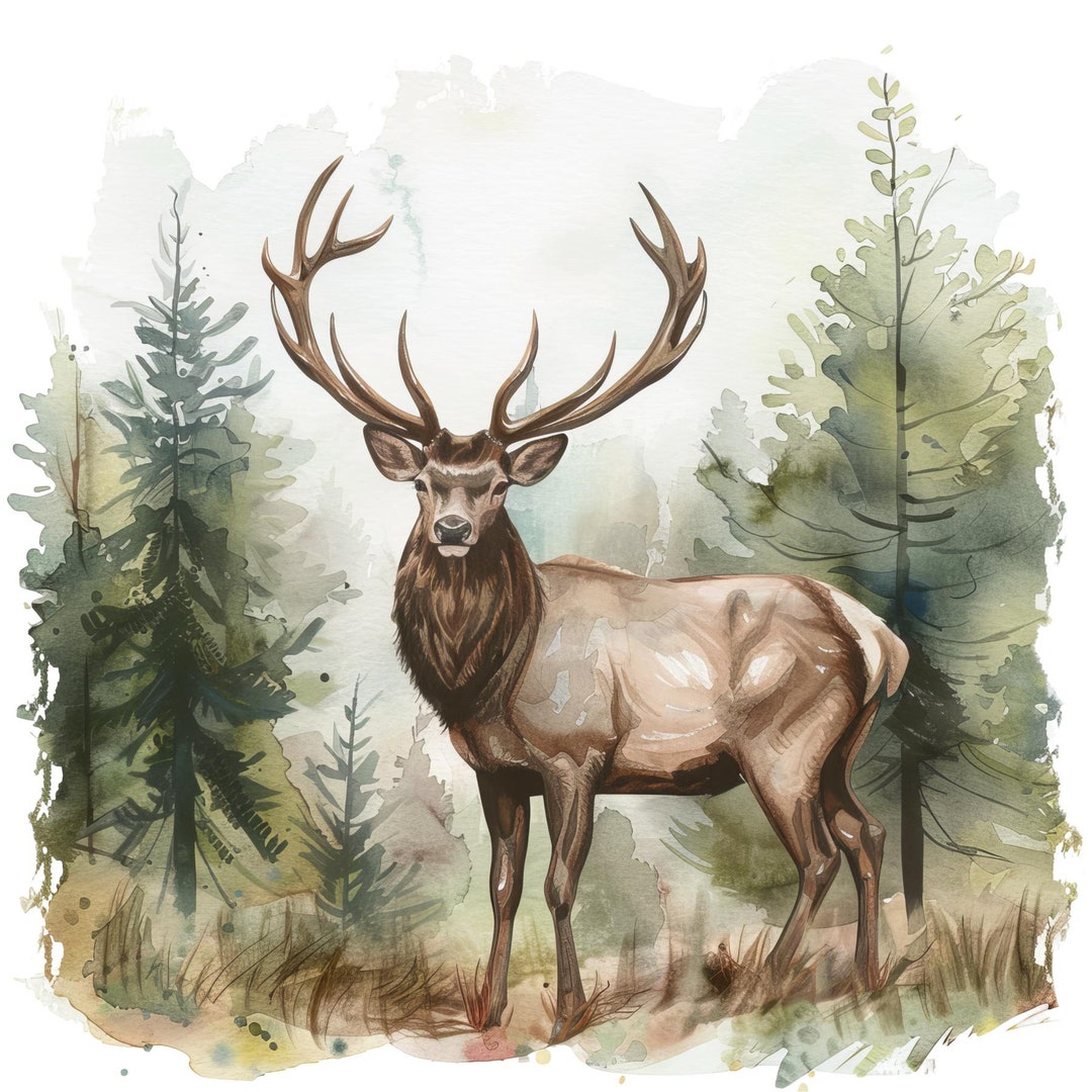 Stunning Watercolor Stag Clipart Pngs Collection 20 Complete 300 DPI ...