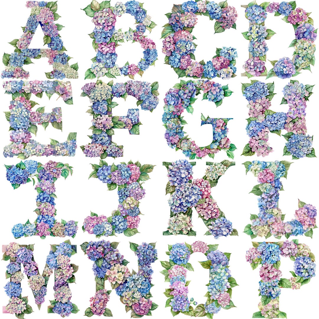 Watercolor Hydrangea Alphabet Clipart Pngs - 26 High-resolution 300 DPI ...