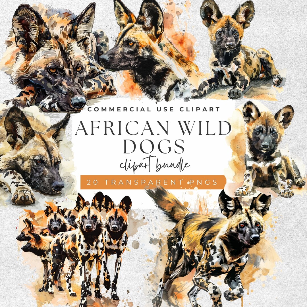 African Wild Dog Clipart - 20 Watercolor Pngs Pack - Transparent ...