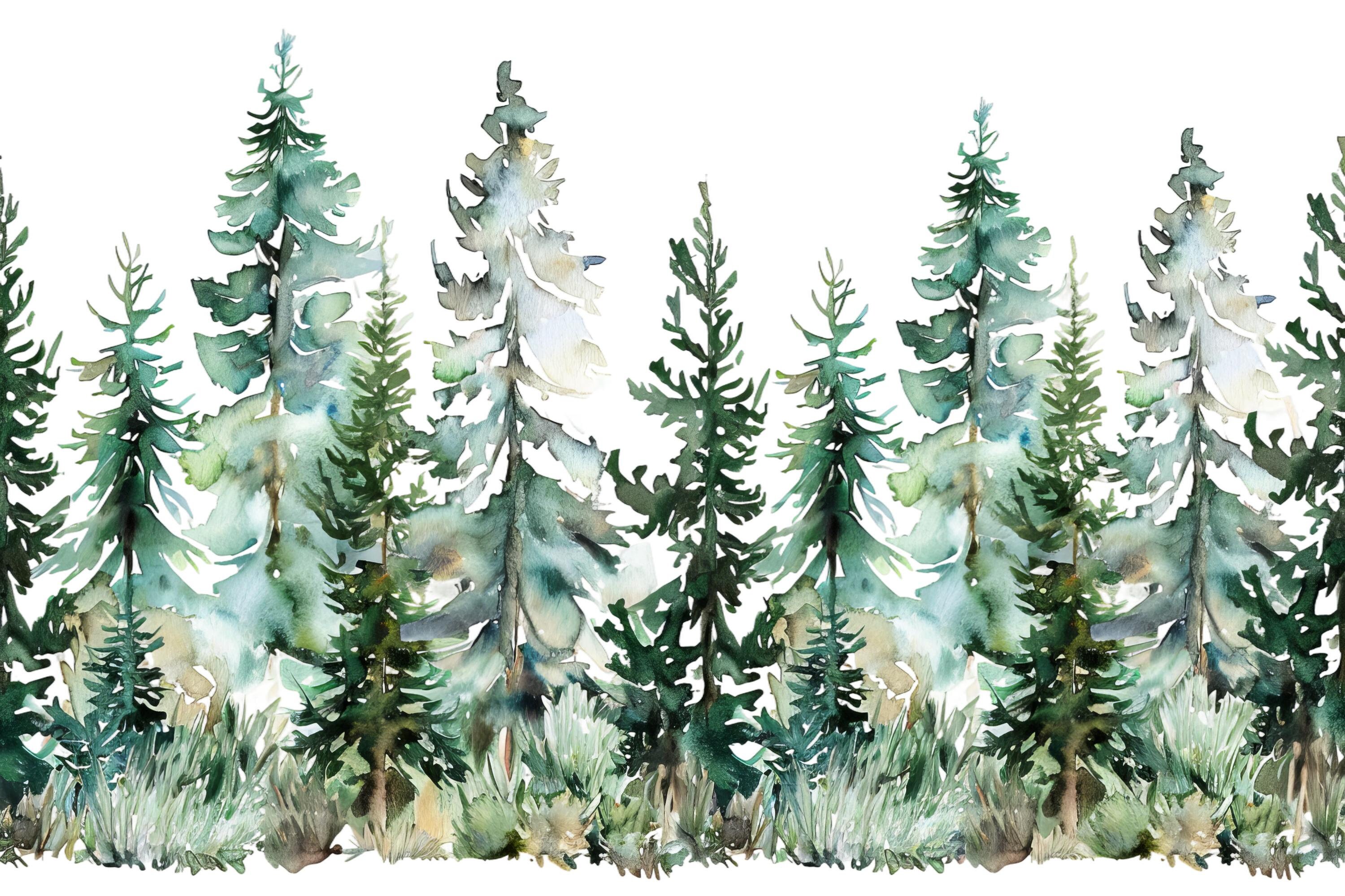 Watercolor Pine Trees Border Clipart: Whimsical Forest Pngs (digital ...