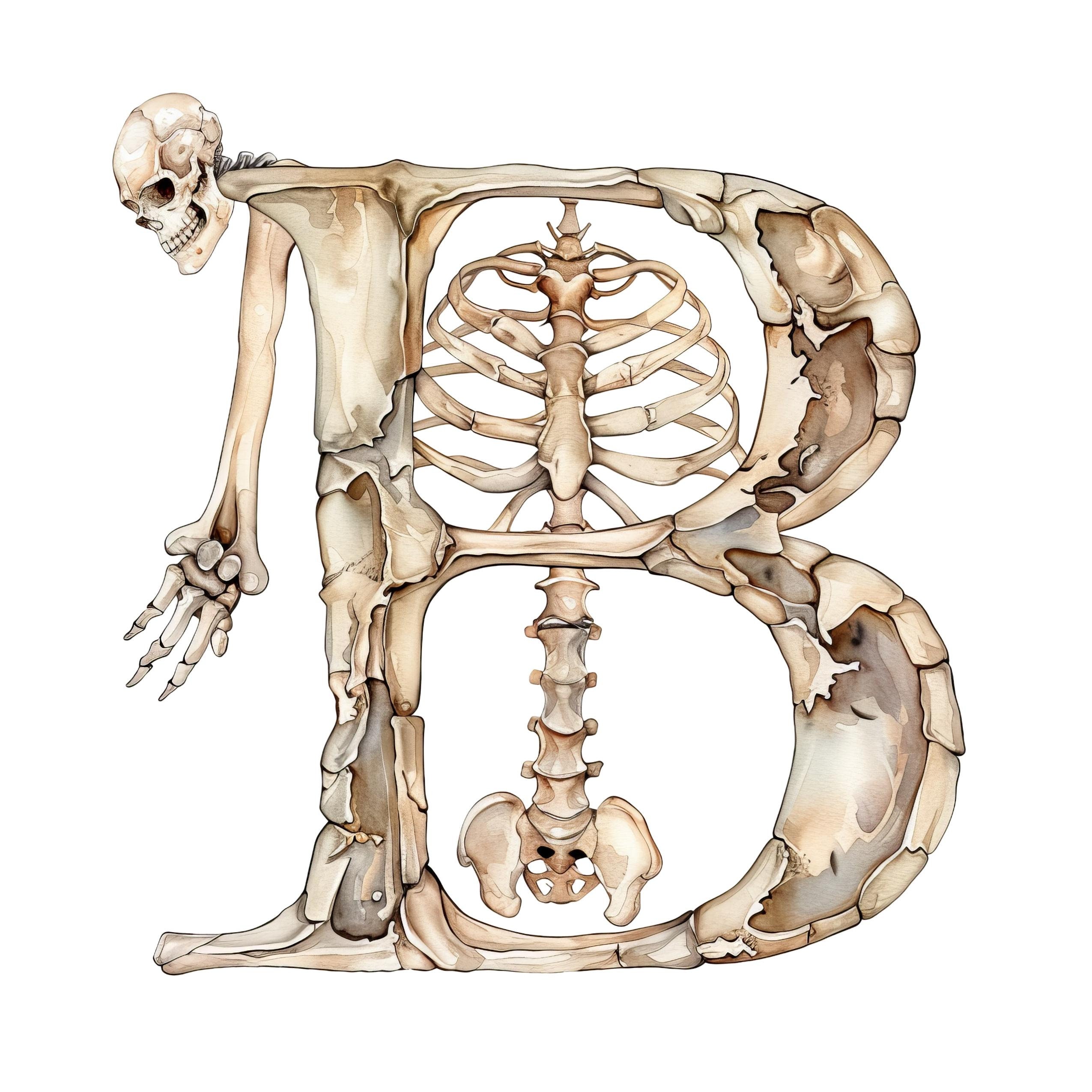 Unique Watercolor Bone Skeleton Letter Alphabet Clipart Pngs 26 High ...