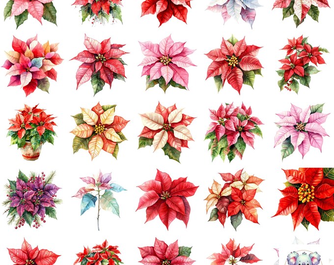 10 PNG Christmas Poinsettia Decor, High-quality Digital Download ...
