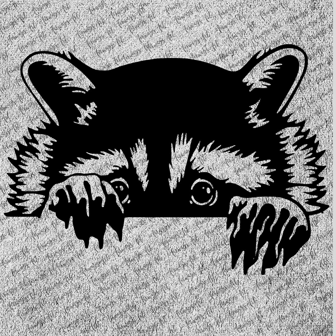 Curious Raccoon PNG, PNG, Digital Download Art, Raccoon PNG, Sweet but ...