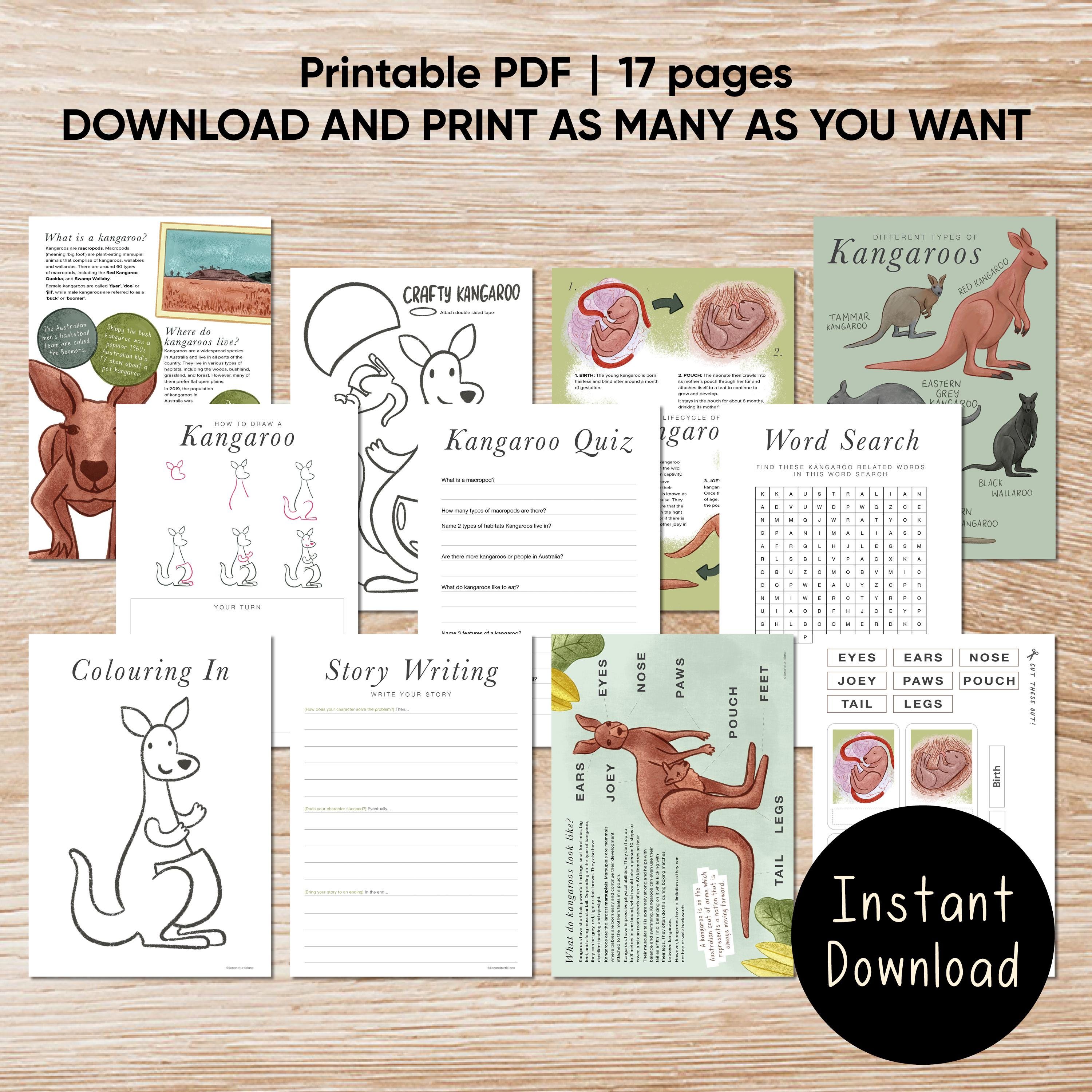 Kangaroos Unit Study, Printable Booklet, Activity, Homeschool Learning ...