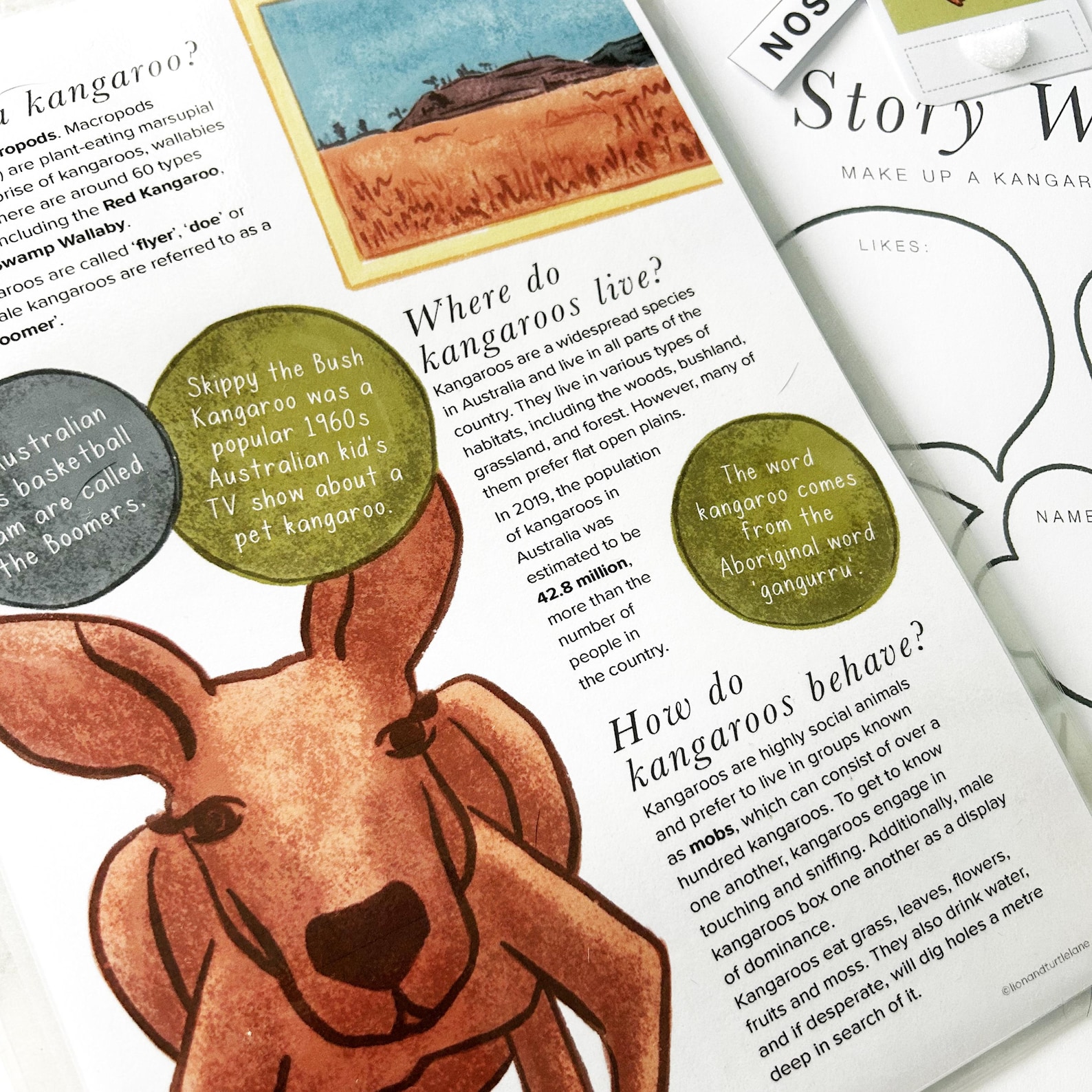 Kangaroos Unit Study, Printable Booklet, Activity, Homeschool Learning, Primary Curriculum ...