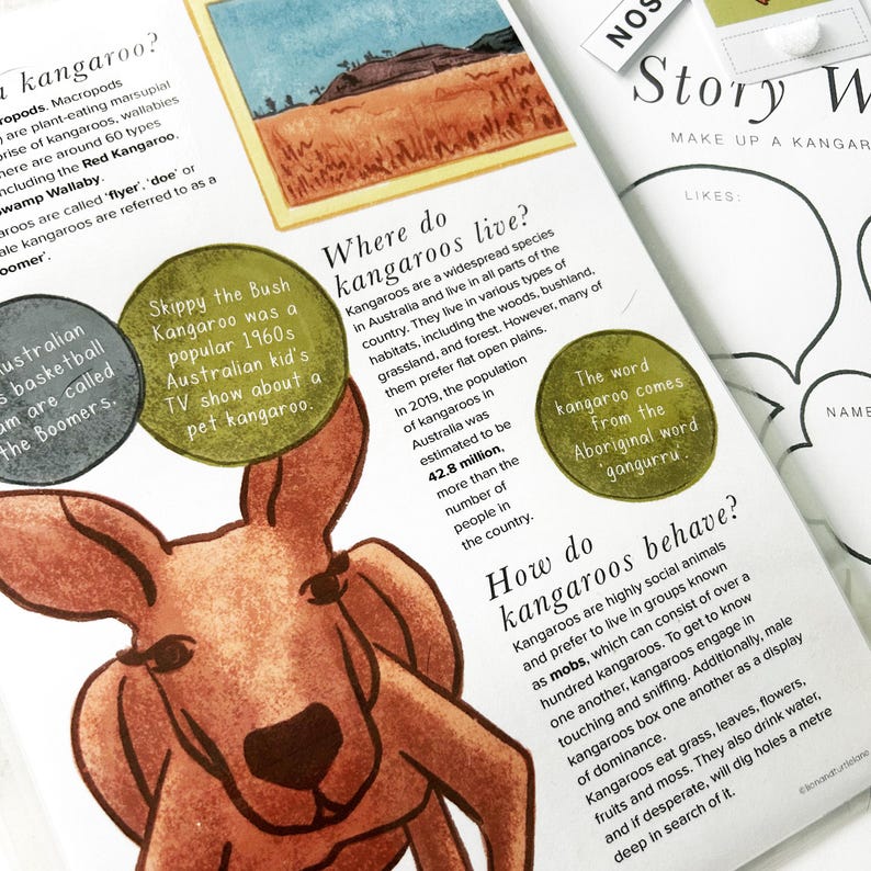 Kangaroos Unit Study, Printable Booklet, Activity, Homeschool Learning ...