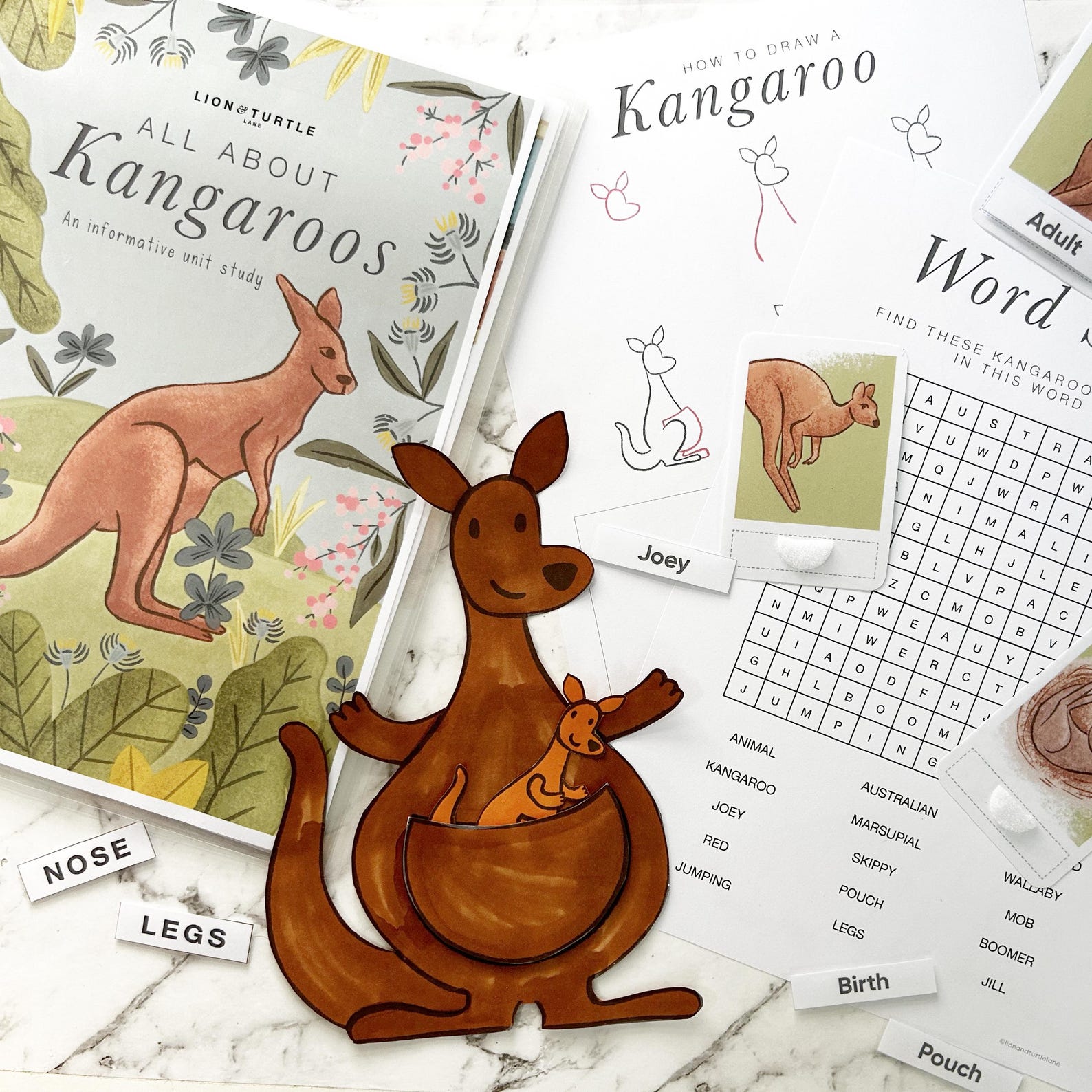 Kangaroos Unit Study, Printable Booklet, Activity, Homeschool Learning ...