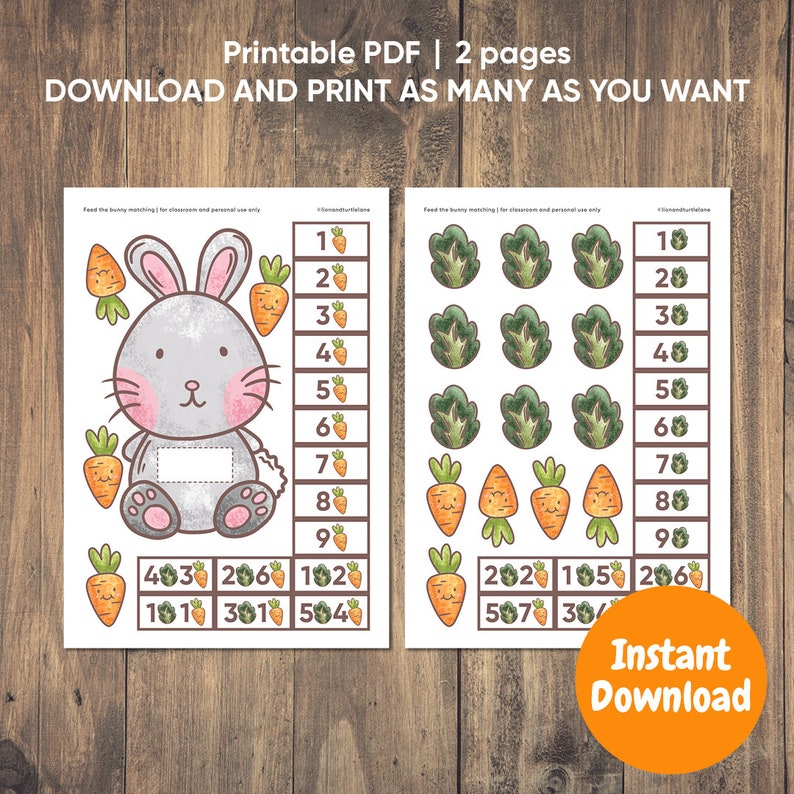 Feed the Bunny Number Matching, Preschool Toddler Activity, Printable ...